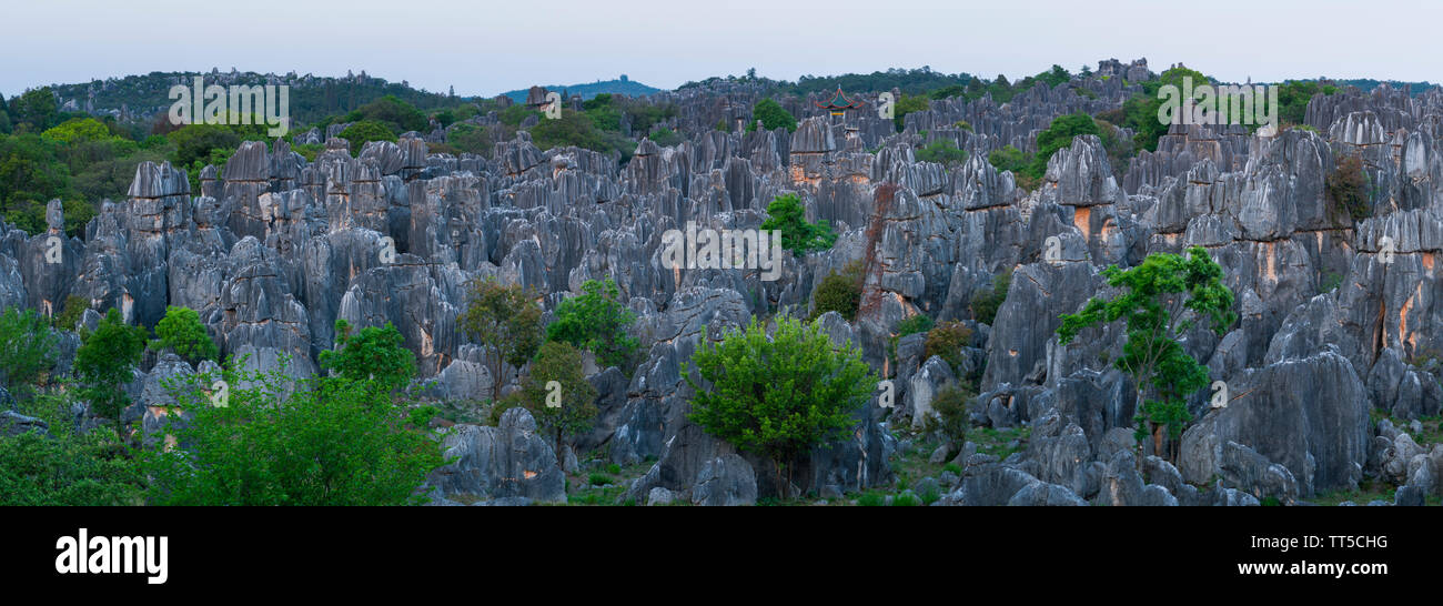Weird rock formations of limestone, The Stone Forest, Shilin Yi ...