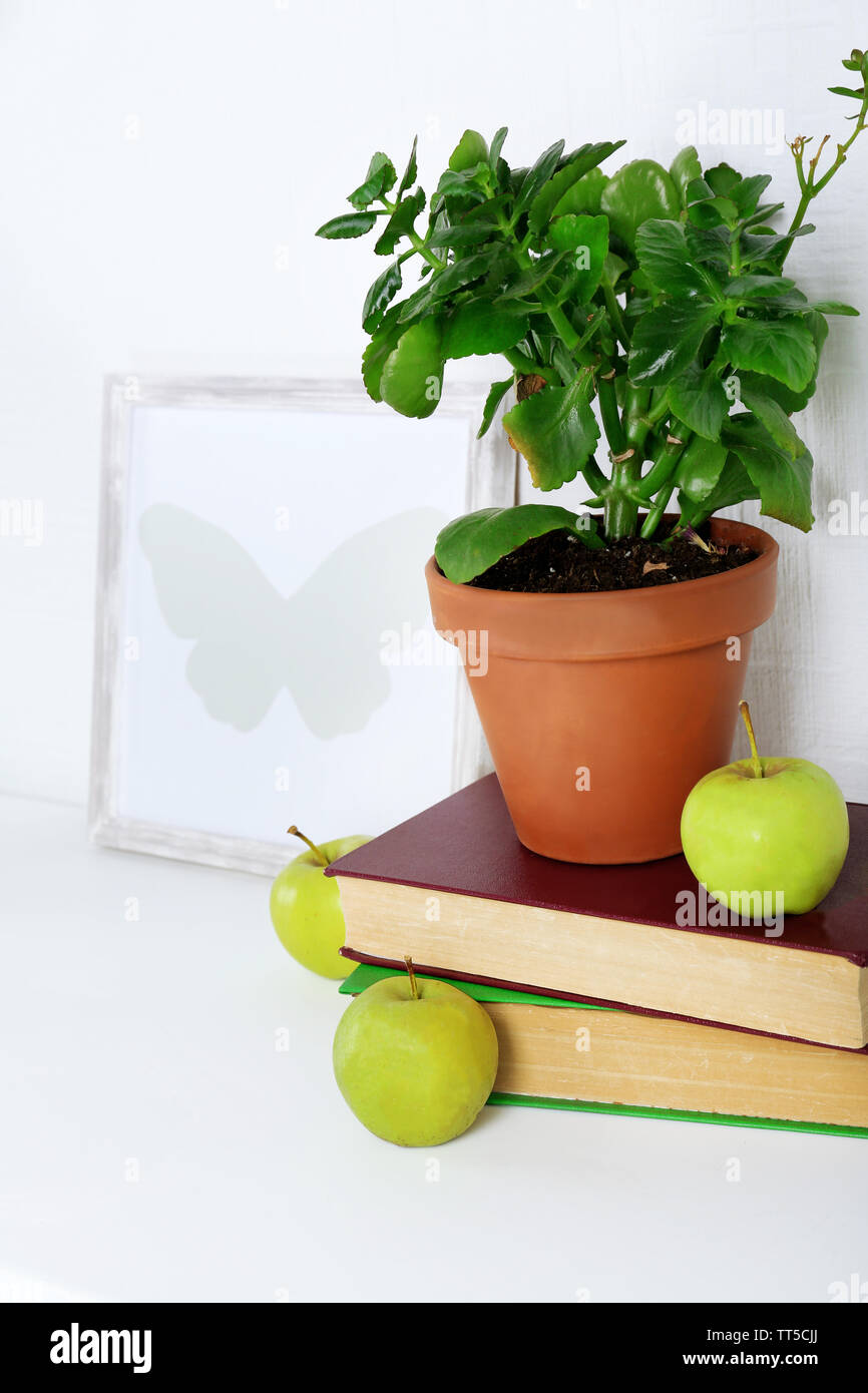 Different objects on white shelf in living room Stock Photo - Alamy