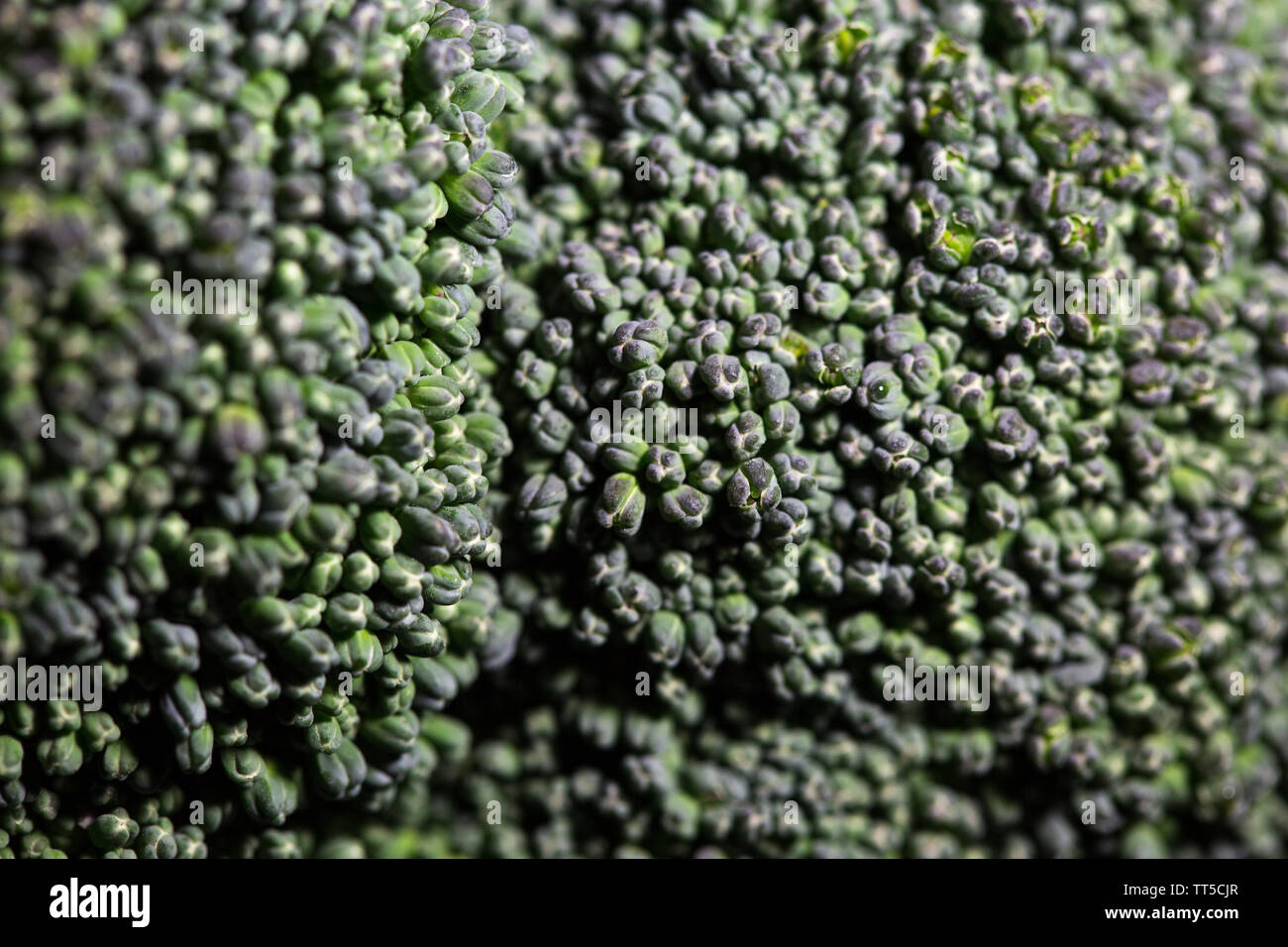 broccoli raw fresh close up Stock Photo - Alamy