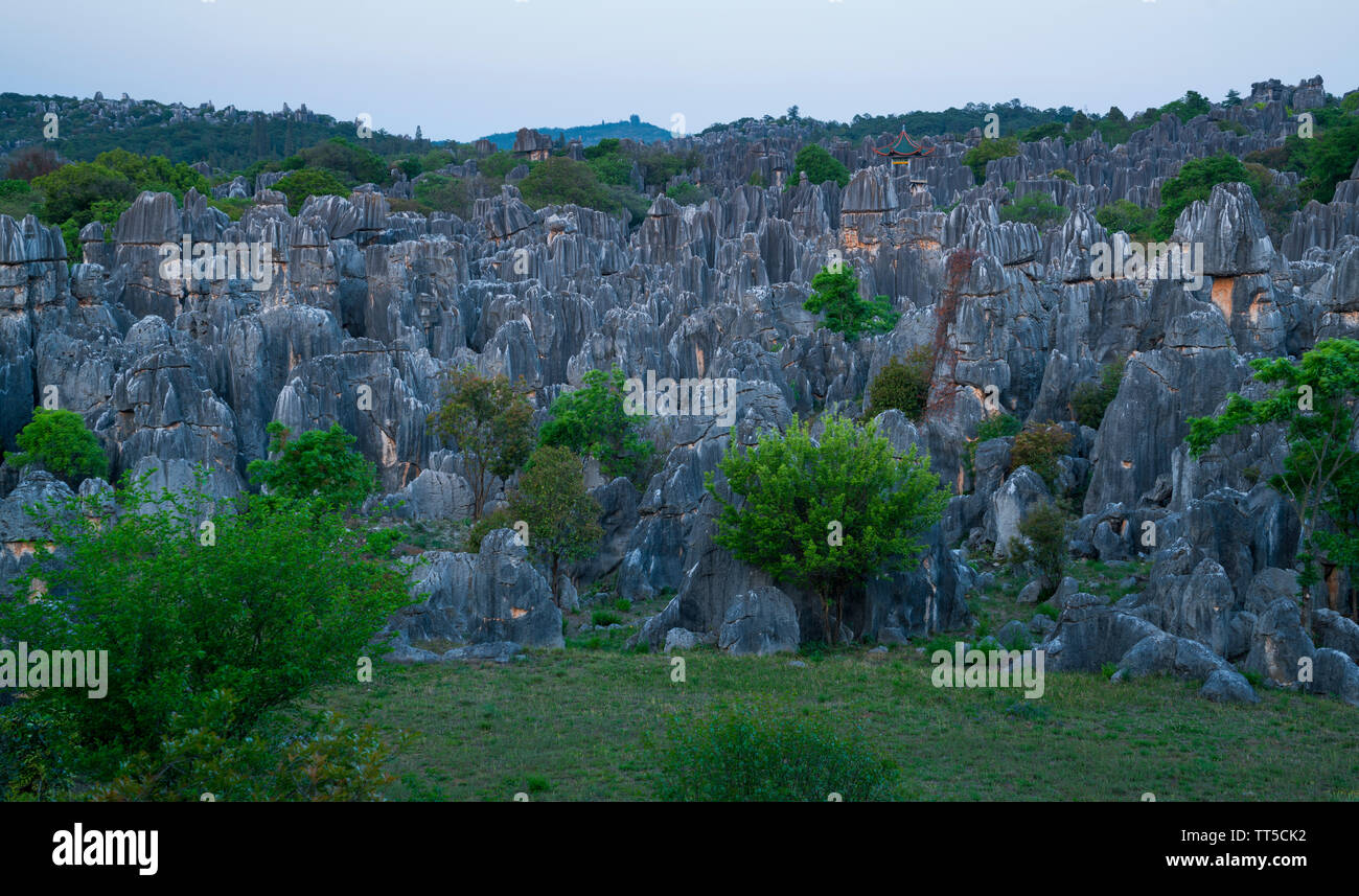 Weird rock formations of limestone, The Stone Forest, Shilin Yi ...