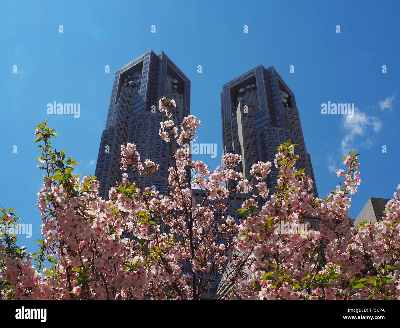 Tokyo city hall building tower shinjuku hi-res stock photography and ...