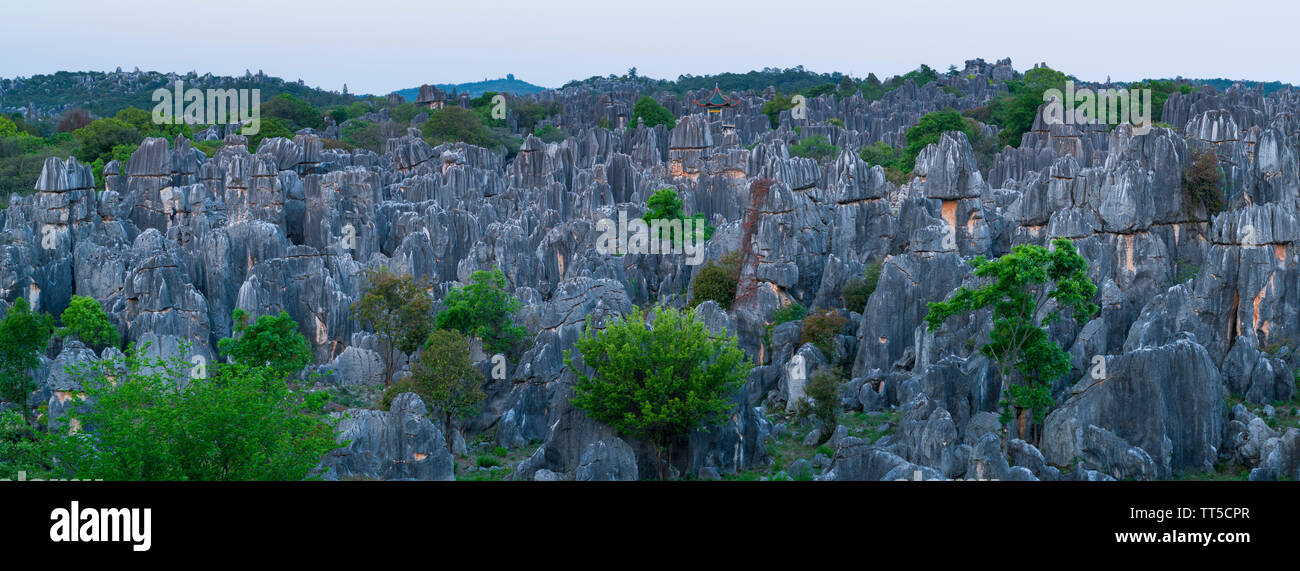 Weird rock formations of limestone, The Stone Forest, Shilin Yi ...