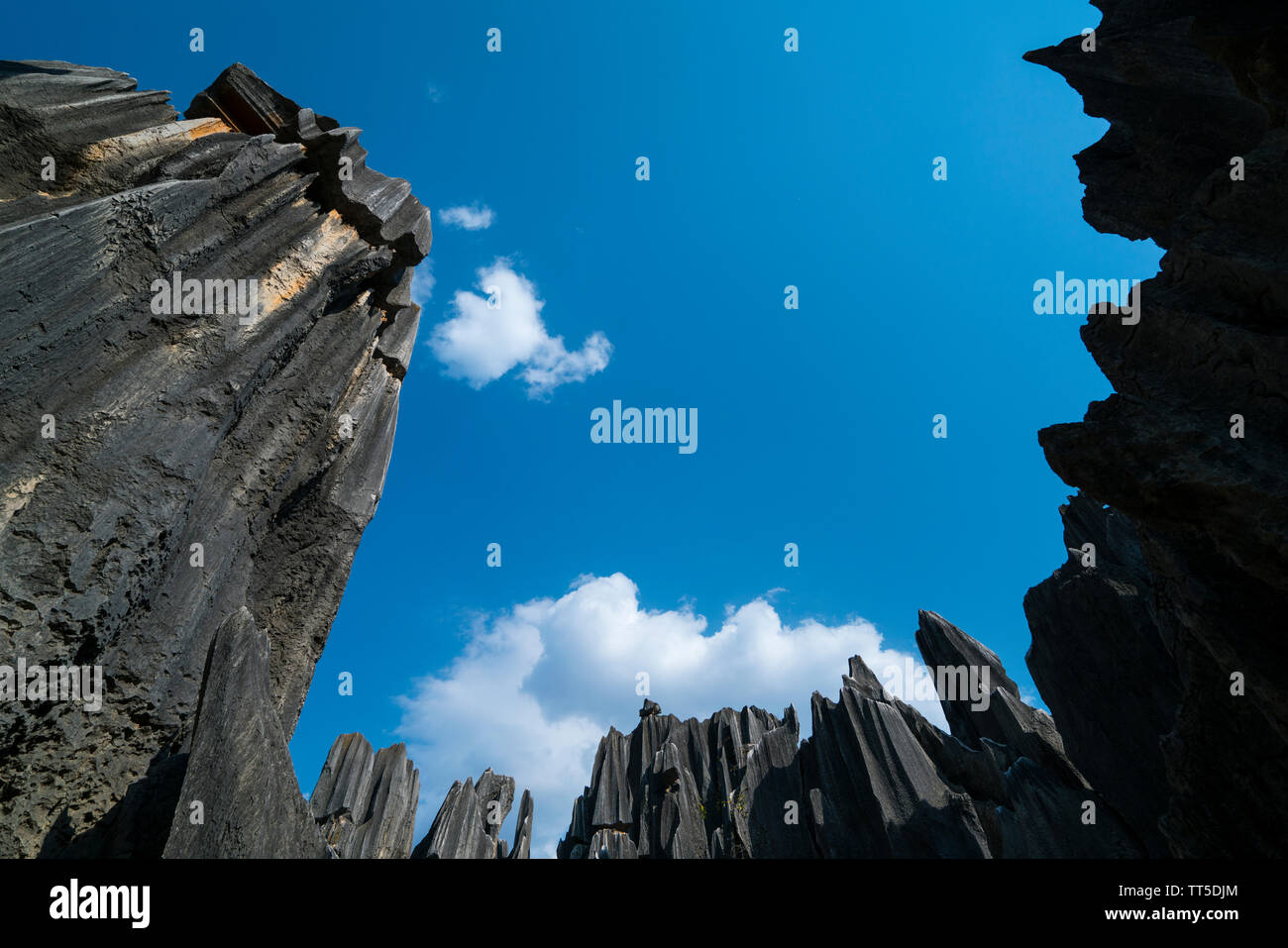 Tall rocks formations of limestone, The Stone Forest, Shilin Yi ...