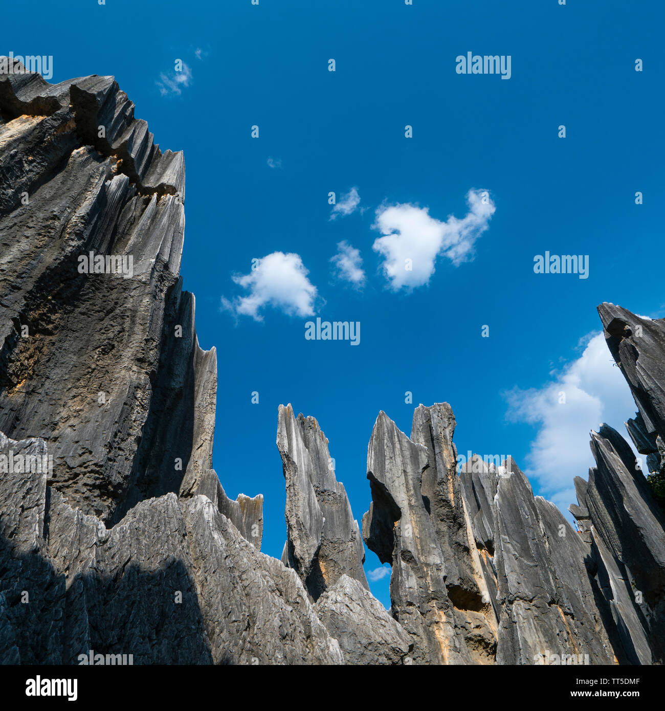 Tall rocks formations of limestone, The Stone Forest, Shilin Yi ...