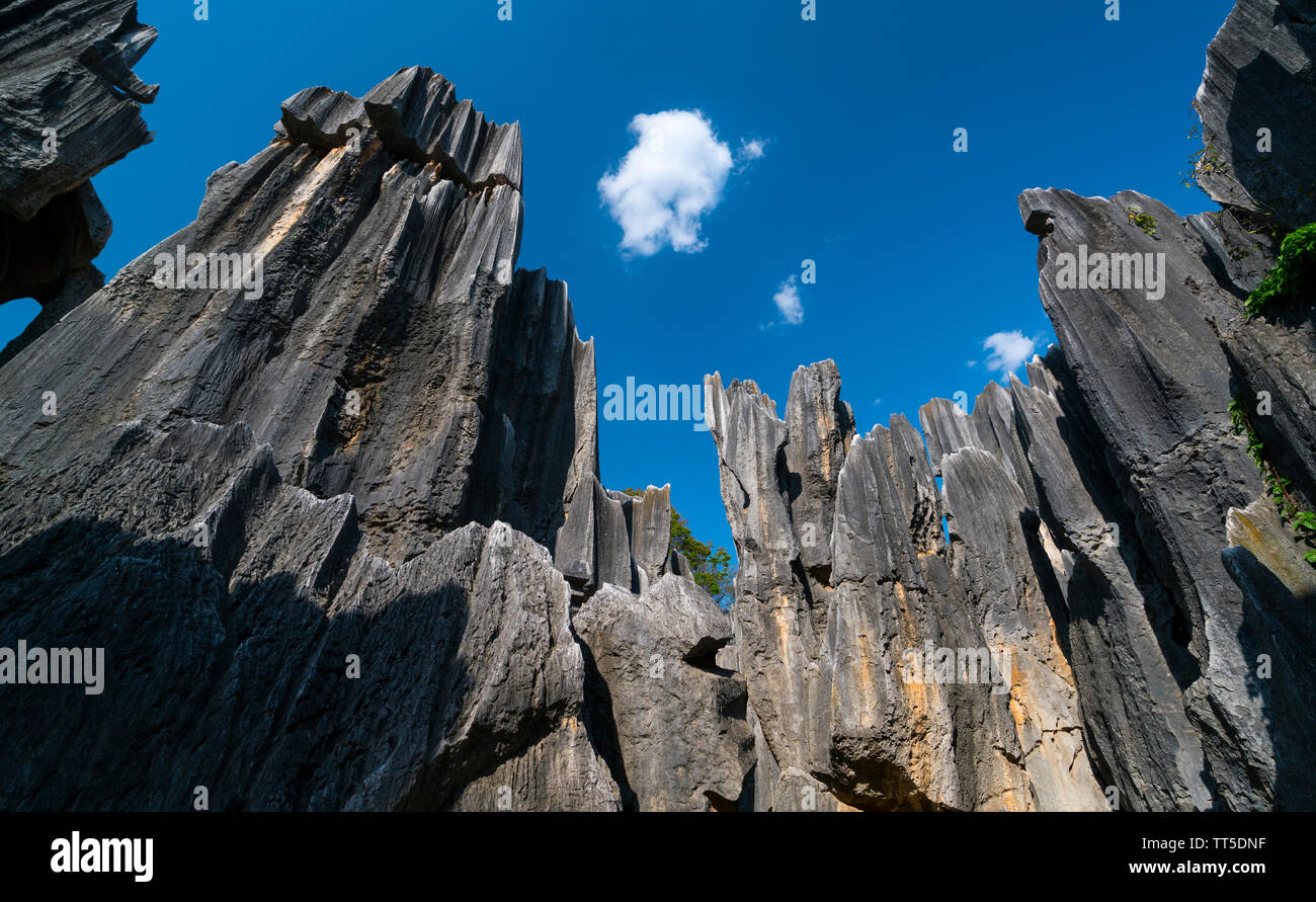 Tall rocks formations of limestone, The Stone Forest, Shilin Yi ...