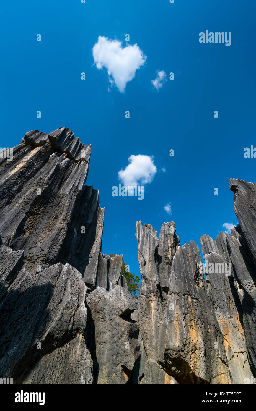 Tall rocks formations of limestone, The Stone Forest, Shilin Yi ...