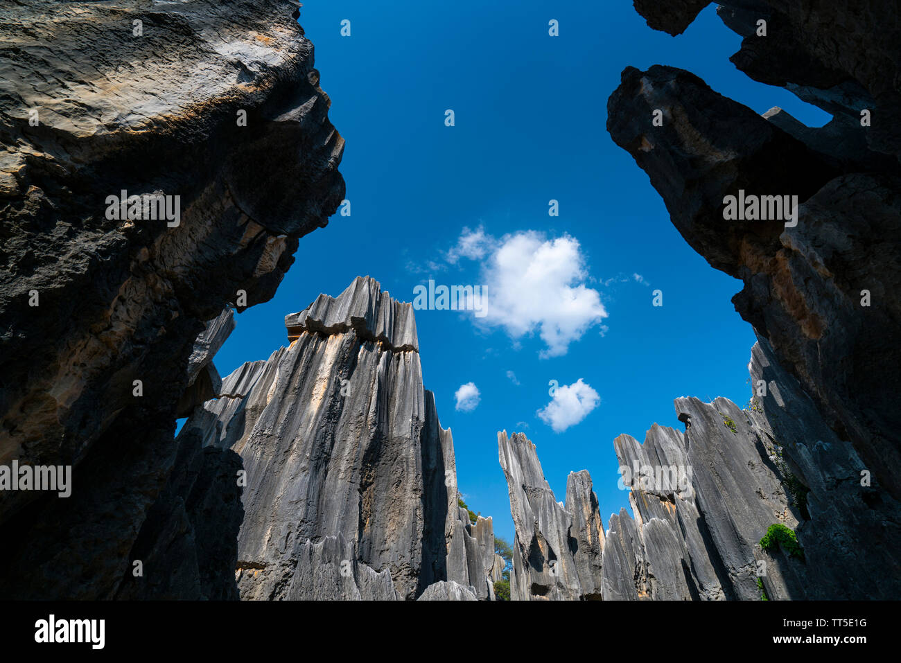 Tall rocks formations of limestone, The Stone Forest, Shilin Yi ...