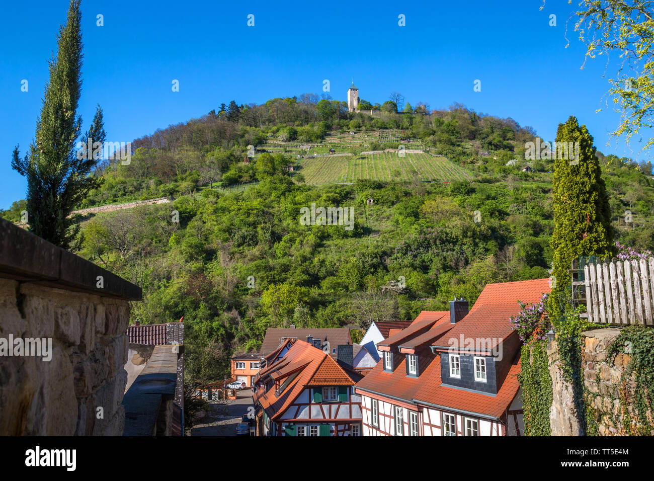 Castle starkenburg hi-res stock photography and images - Alamy
