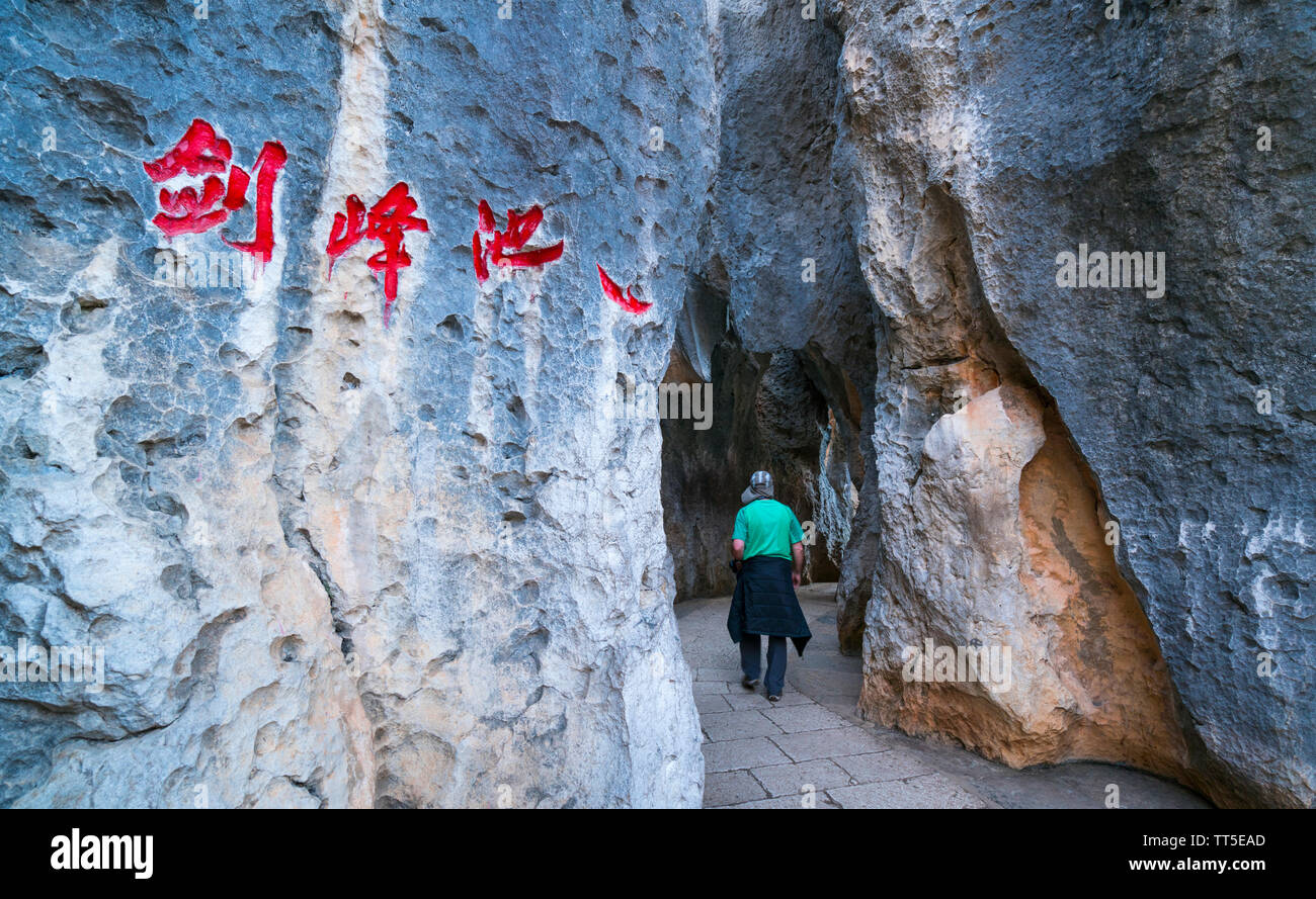 Corridor among tall rocks formations of limestone, The Stone Forest ...