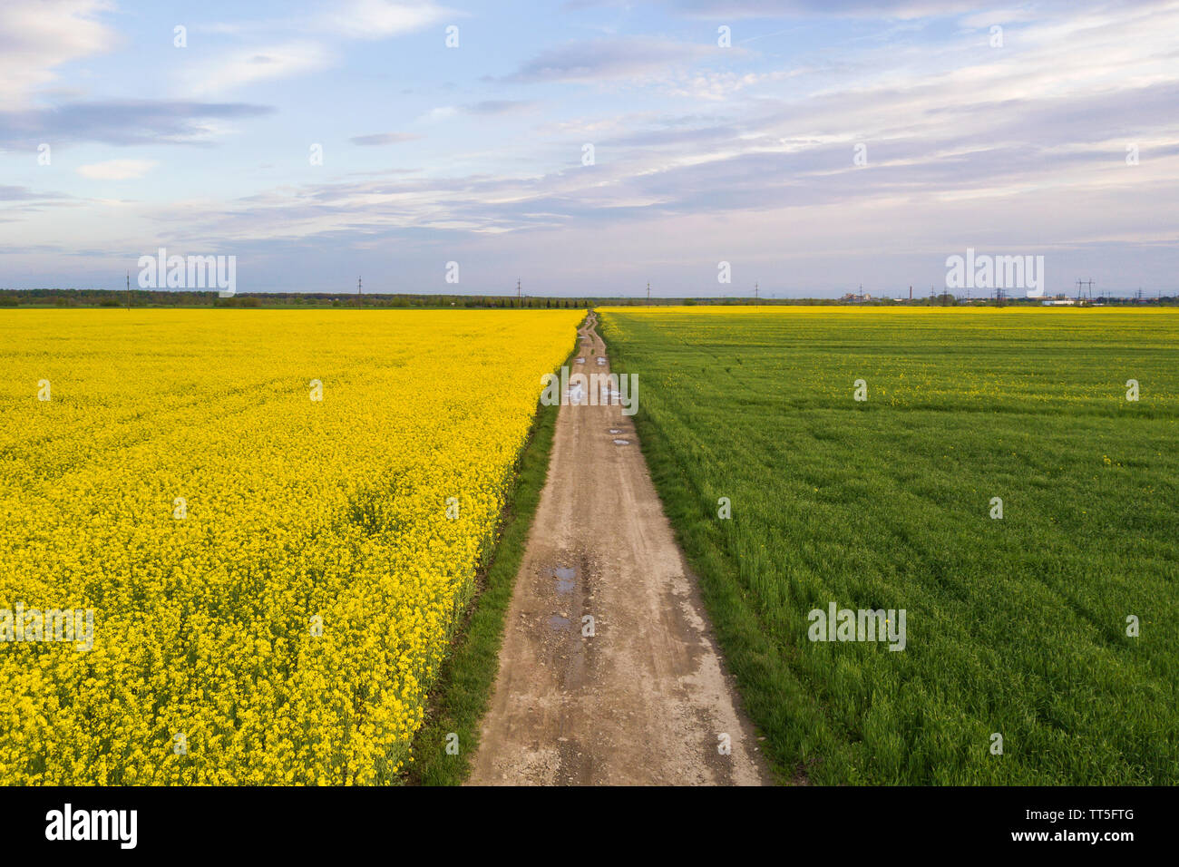 Aerial view of straight ground road with rain puddles in green fields ...