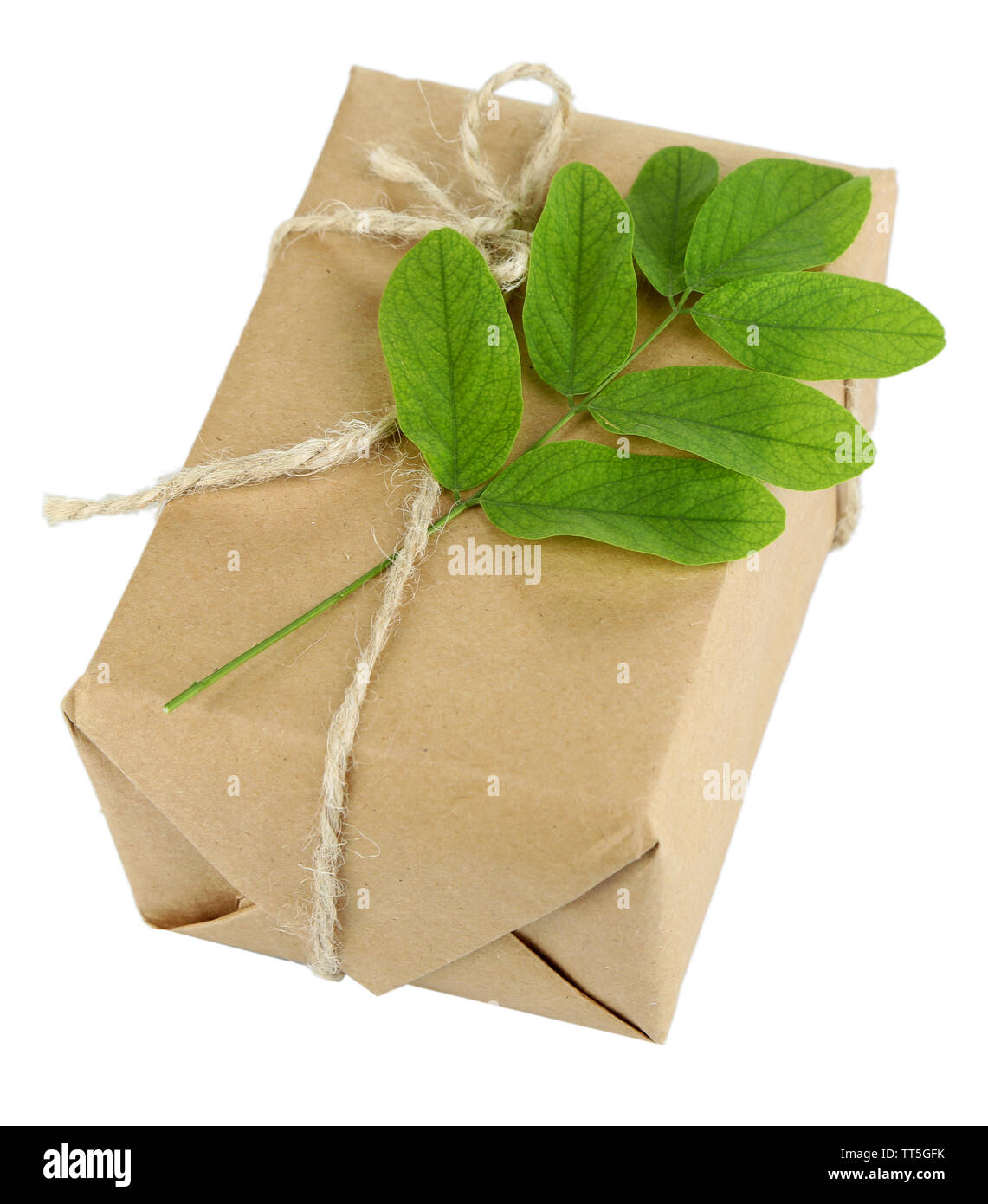 Natural style handcrafted gift box with fresh leaves and rustic twine ...