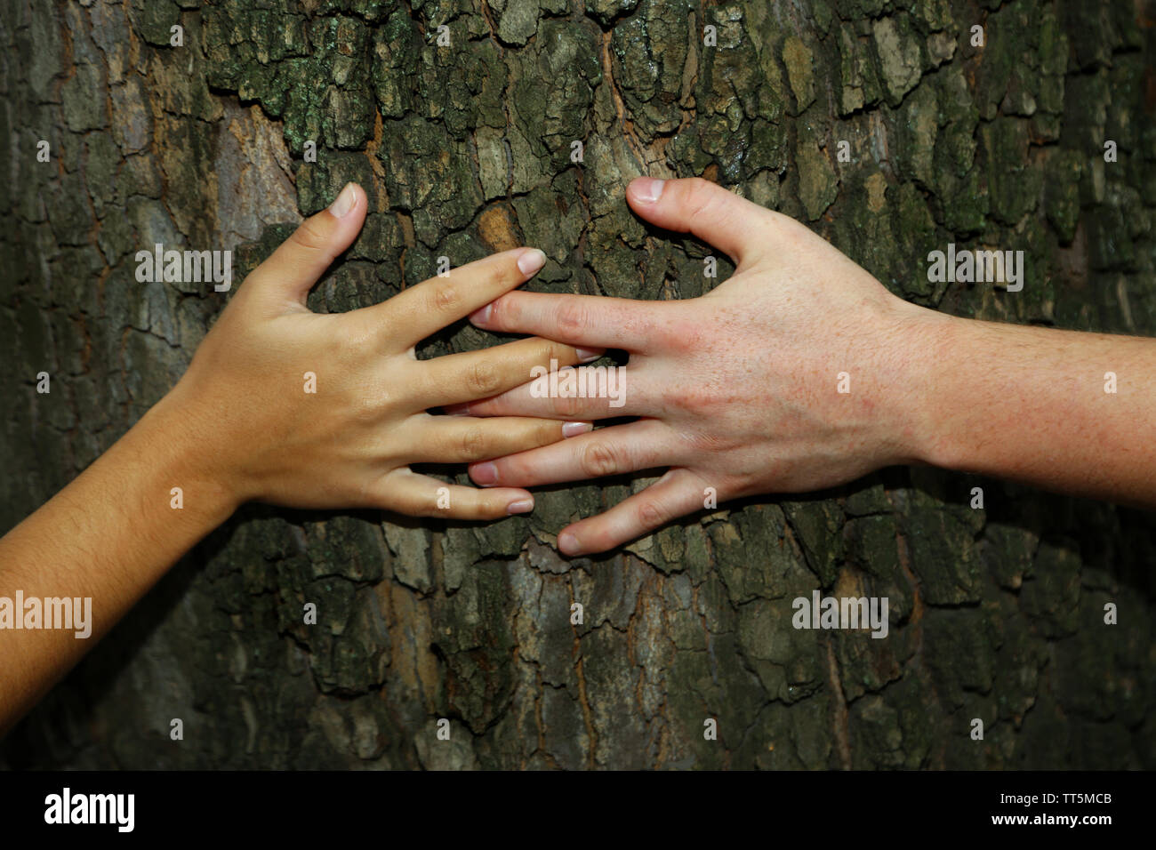 Close-up of hands hugging tree Stock Photo - Alamy