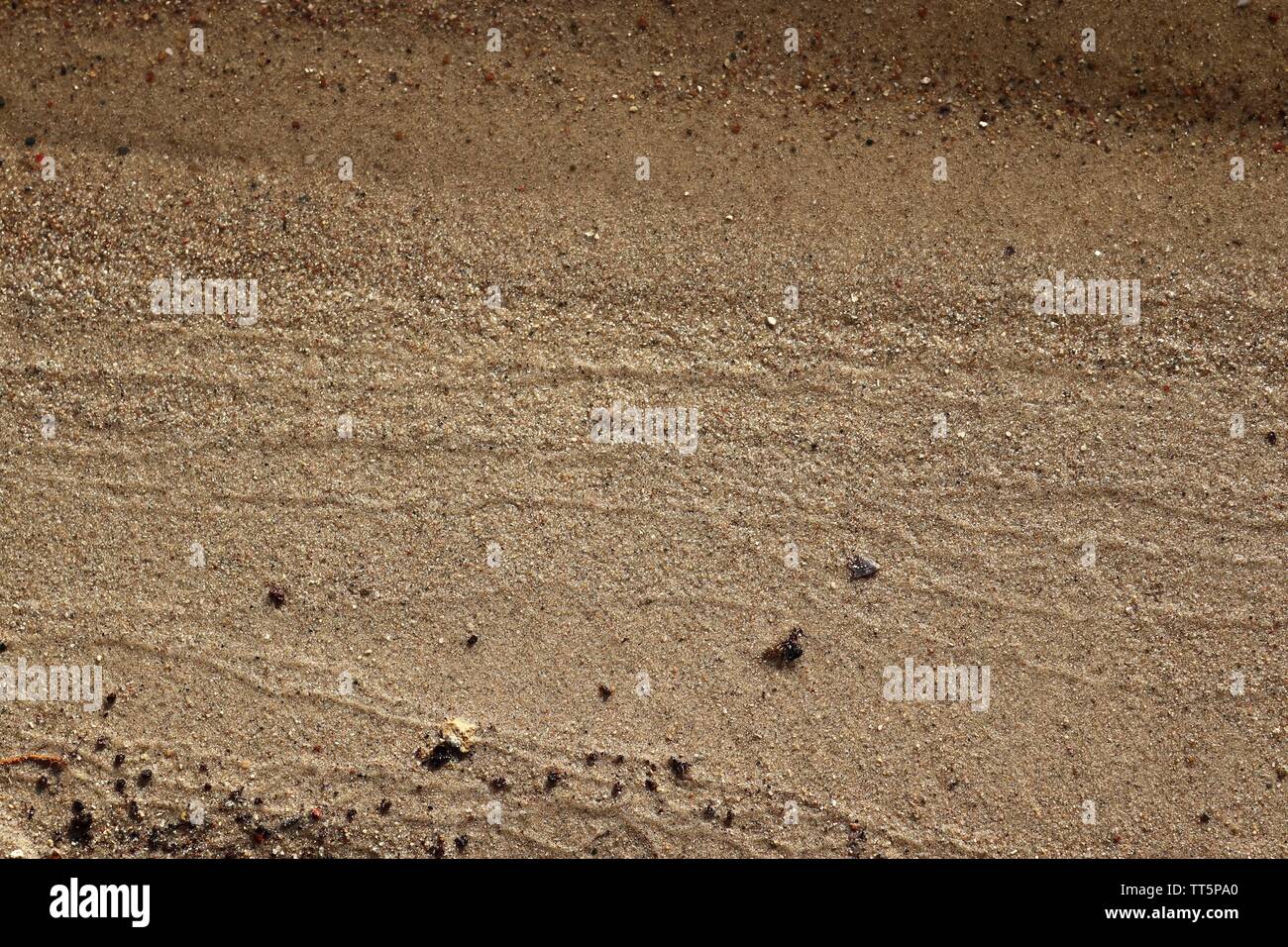 Close up detailed view on sandy ground surfaces in high resolution ...