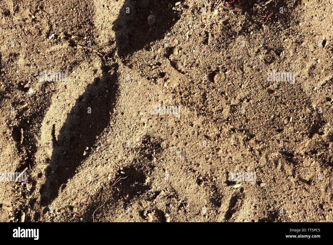 Close up detailed view on sandy ground surfaces in high resolution ...