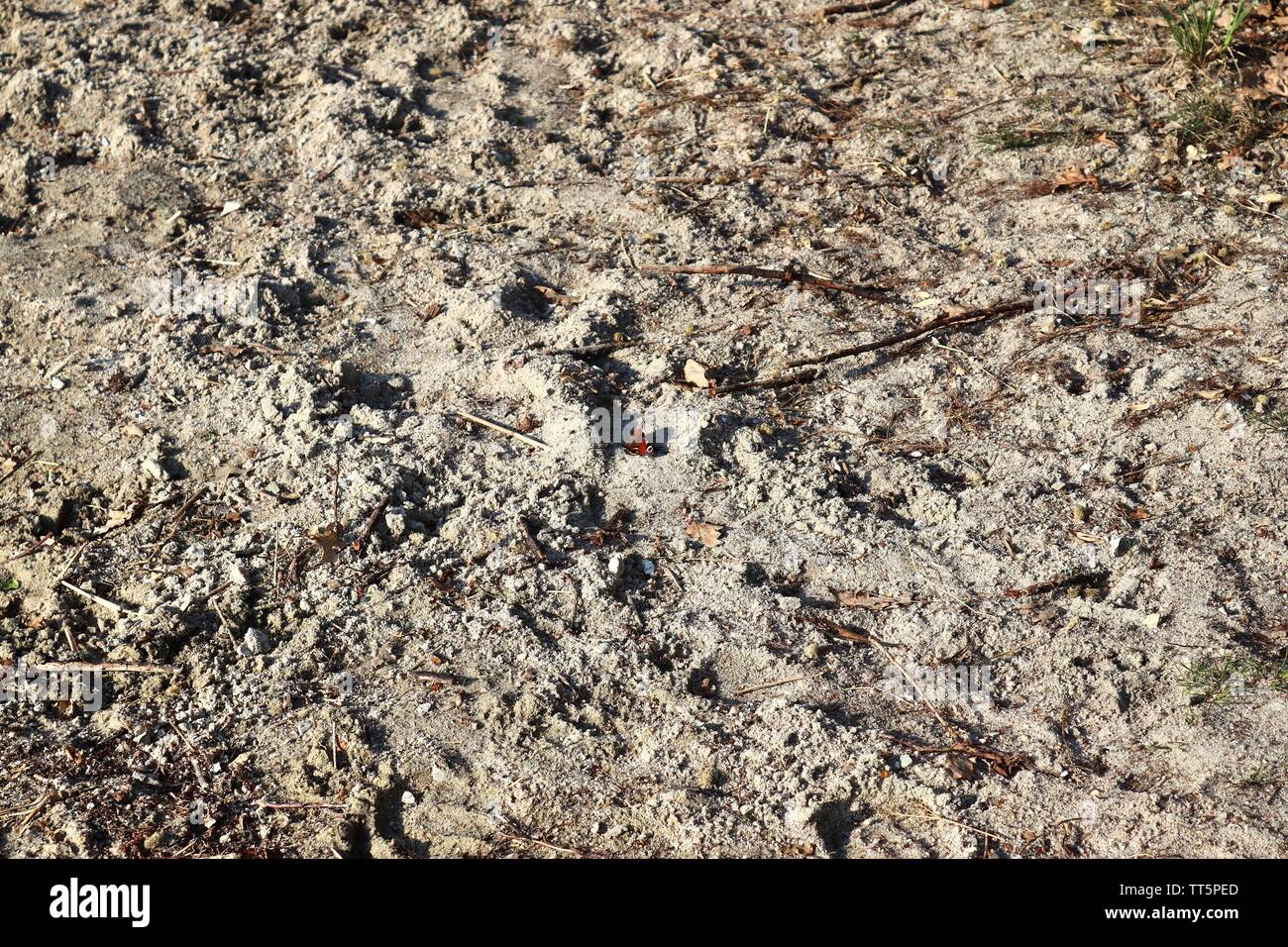 Close up detailed view on sandy ground surfaces in high resolution ...