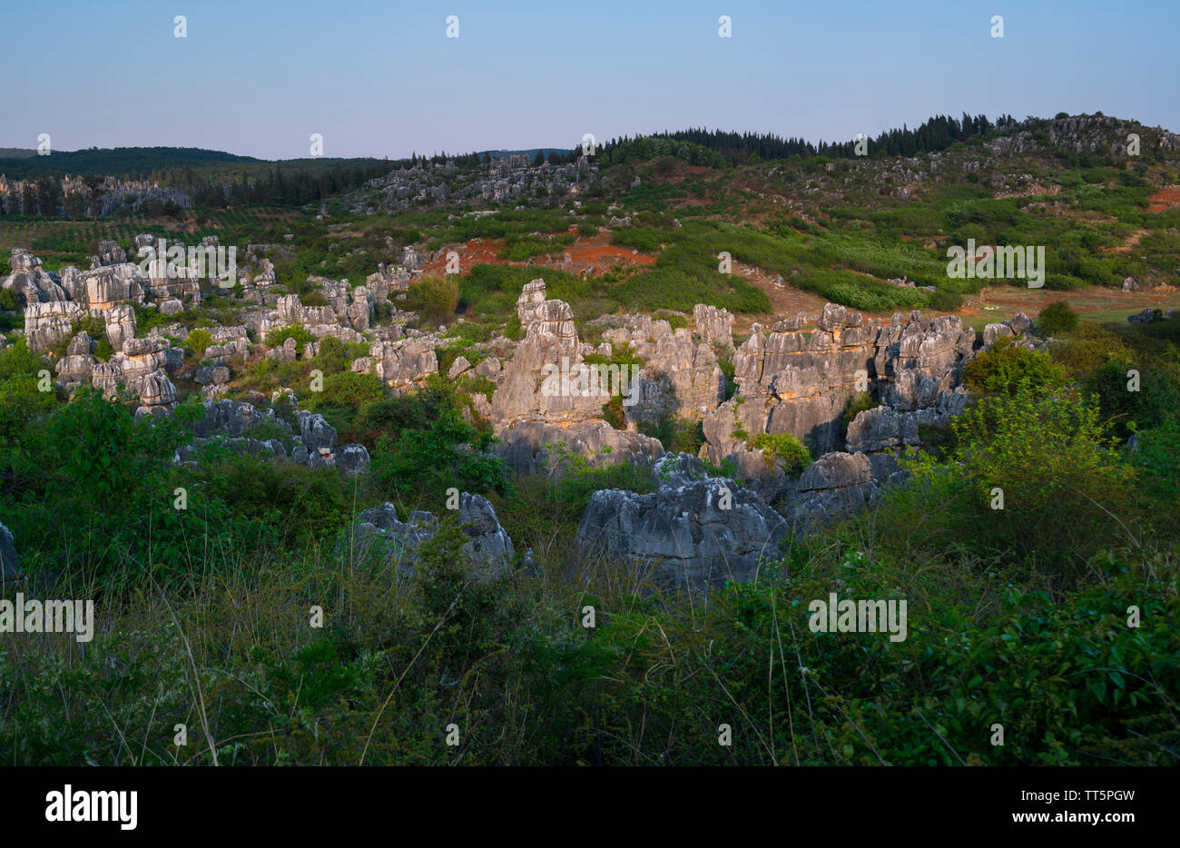 Ring itinerary among formations of limestone, The Stone Forest, Shilin ...