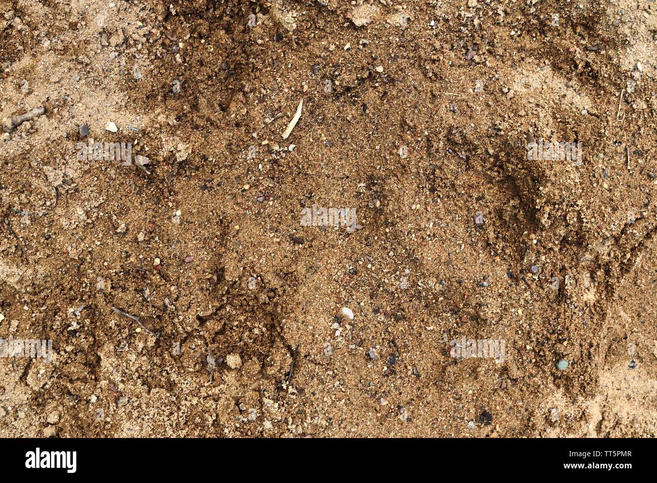 Close up detailed view on sandy ground surfaces in high resolution ...