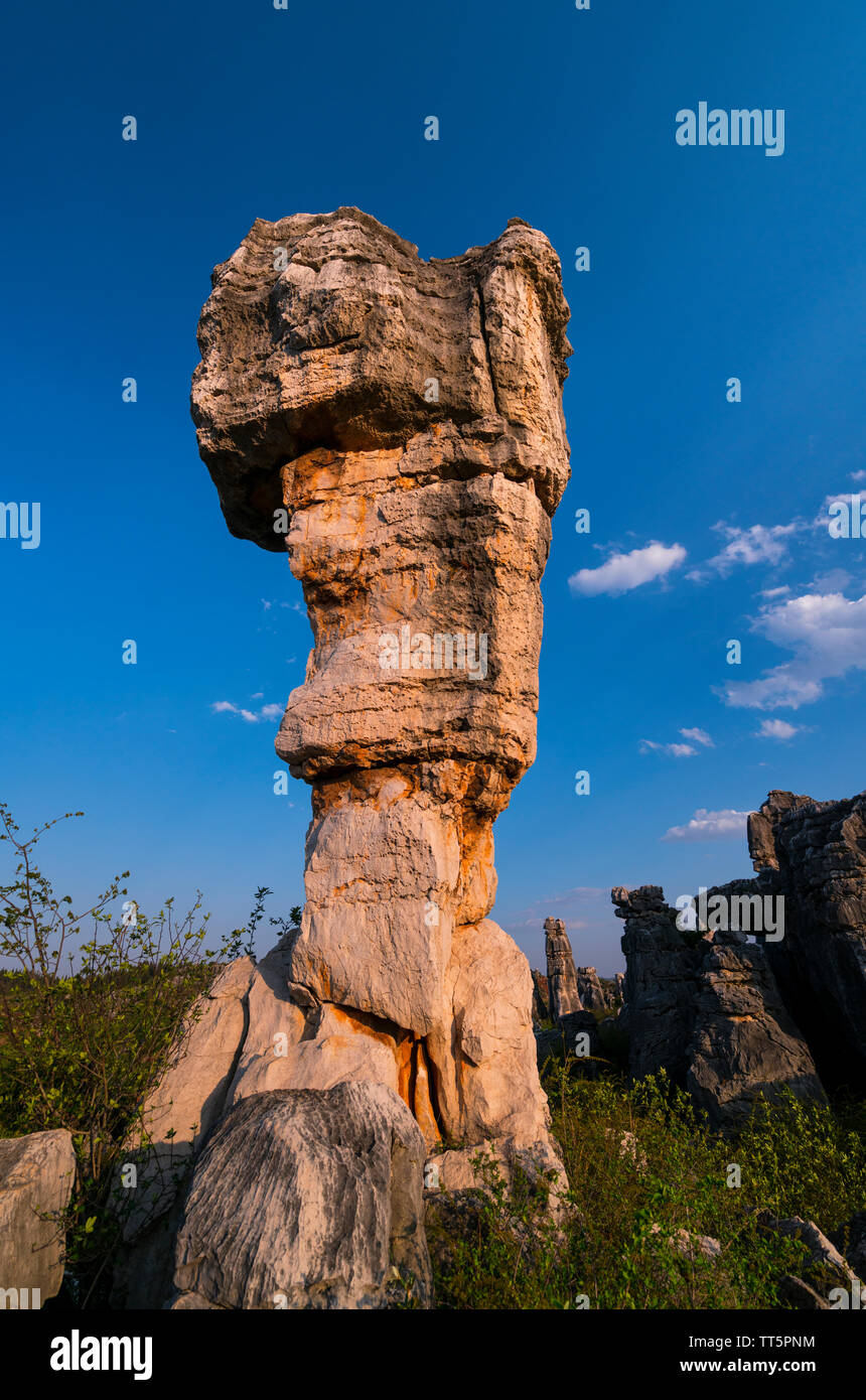 Weird rock formations of limestone, The Stone Forest, Shilin Yi ...