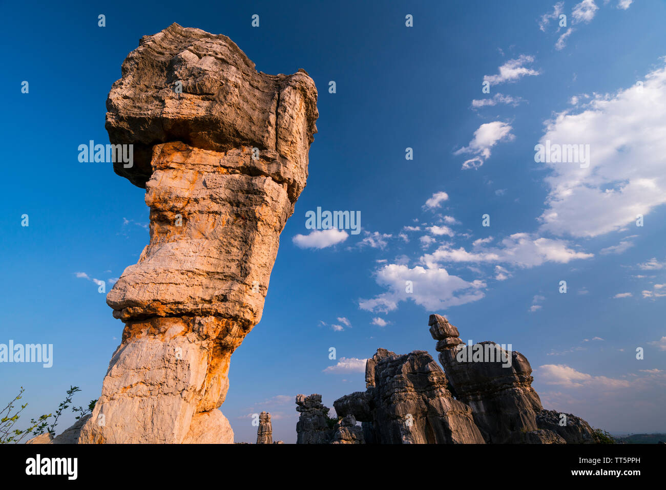 Weird rock formations of limestone, The Stone Forest, Shilin Yi ...