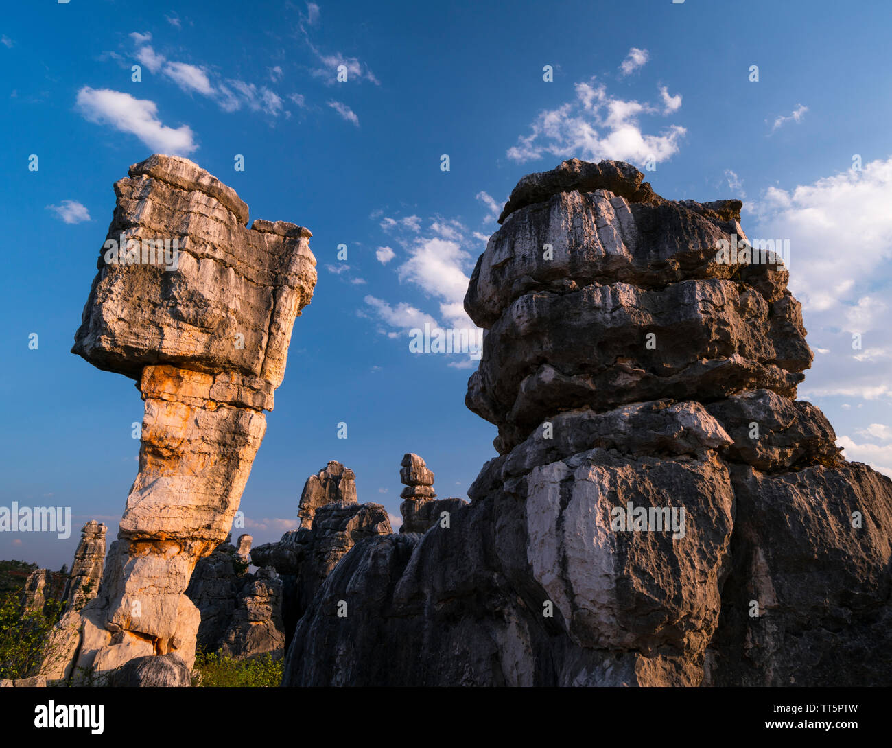 Weird rock formations of limestone, The Stone Forest, Shilin Yi ...