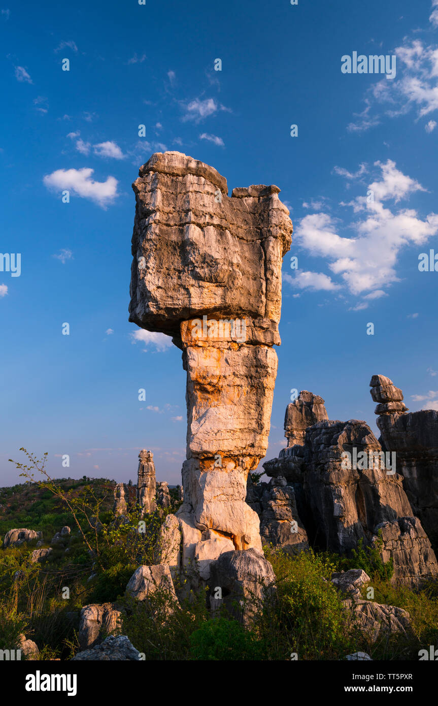 Weird rock formations of limestone, The Stone Forest, Shilin Yi ...