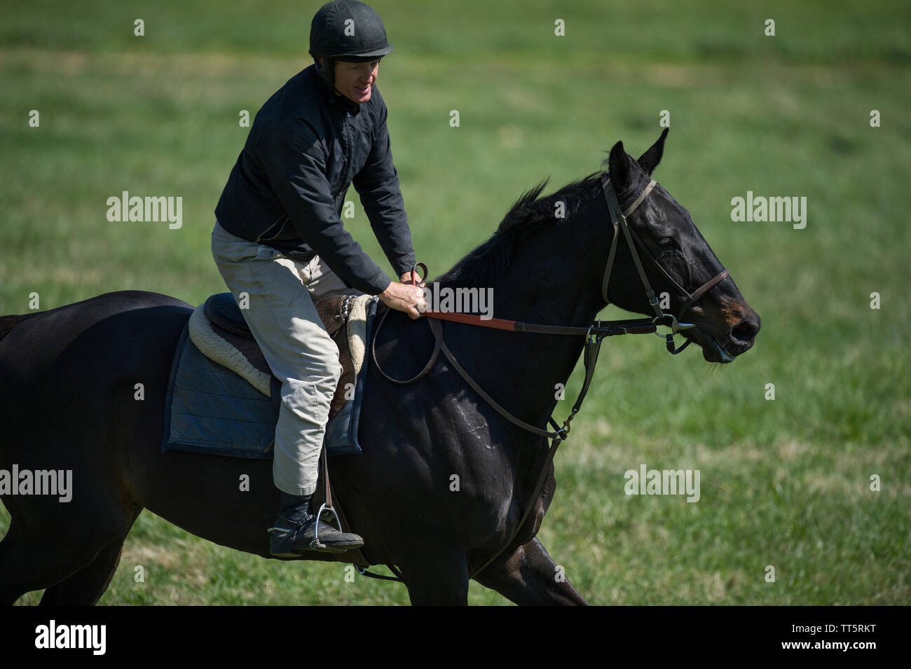 Woods winant hi-res stock photography and images - Alamy