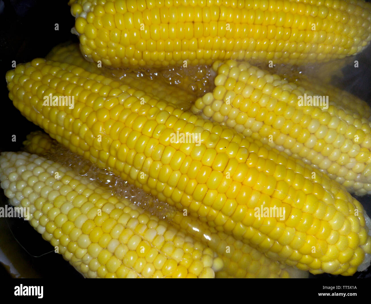 raw corn close up ready to cook freshness ready to cook Stock Photo - Alamy