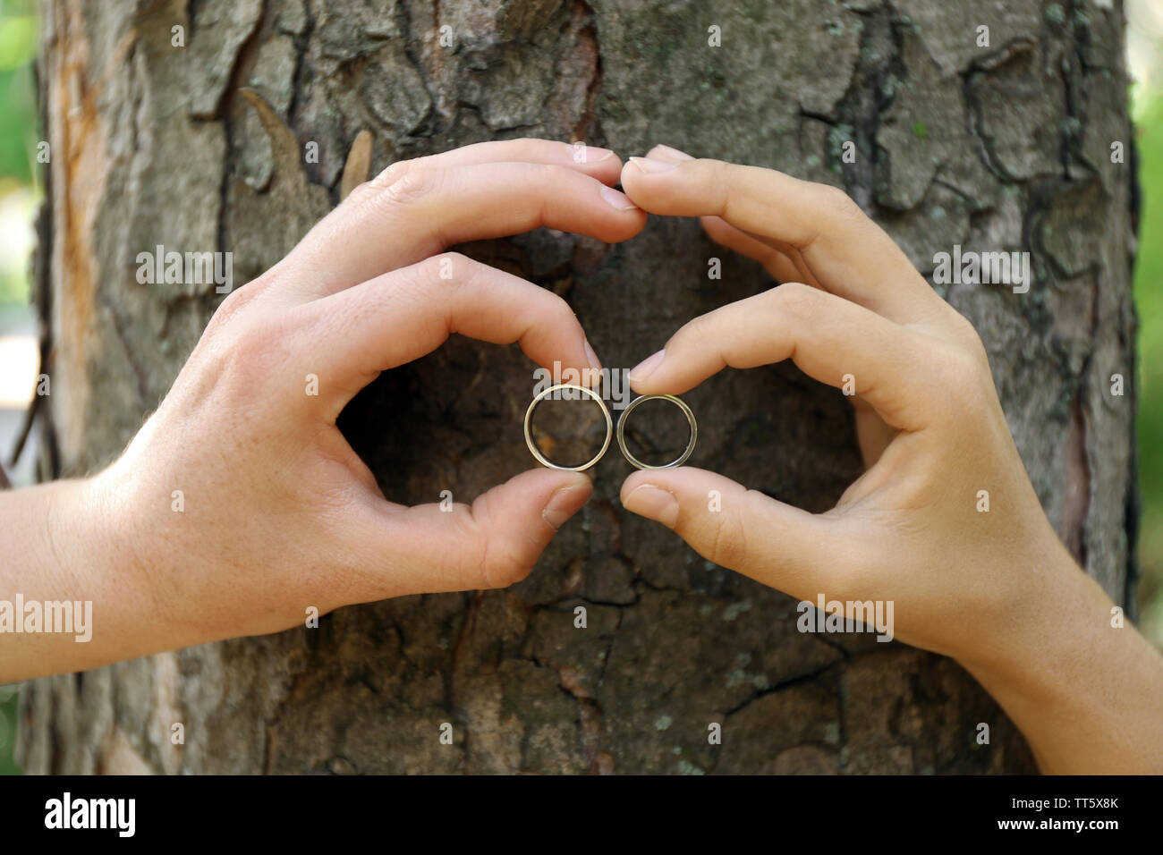 Two hands with wedding rings hugging trunk large tree, close-up Stock ...