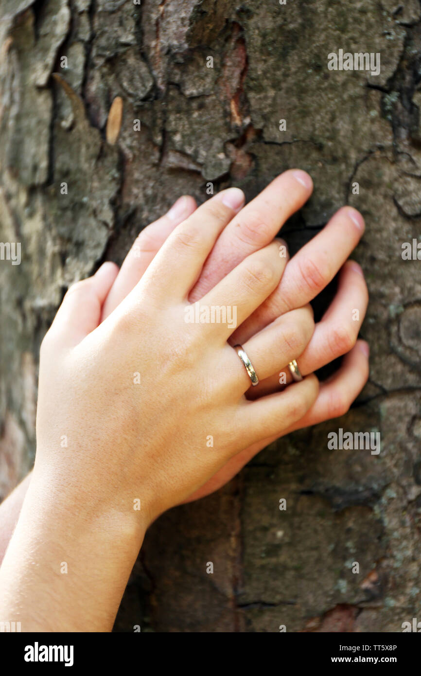 Two hands with wedding rings hugging trunk large tree, close-up Stock ...