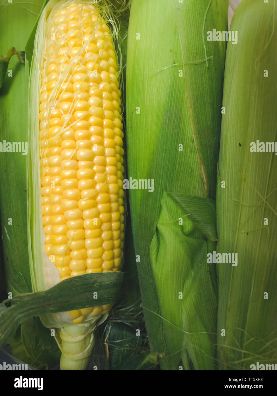 raw corn close up ready to cook freshness ready to cook Stock Photo - Alamy