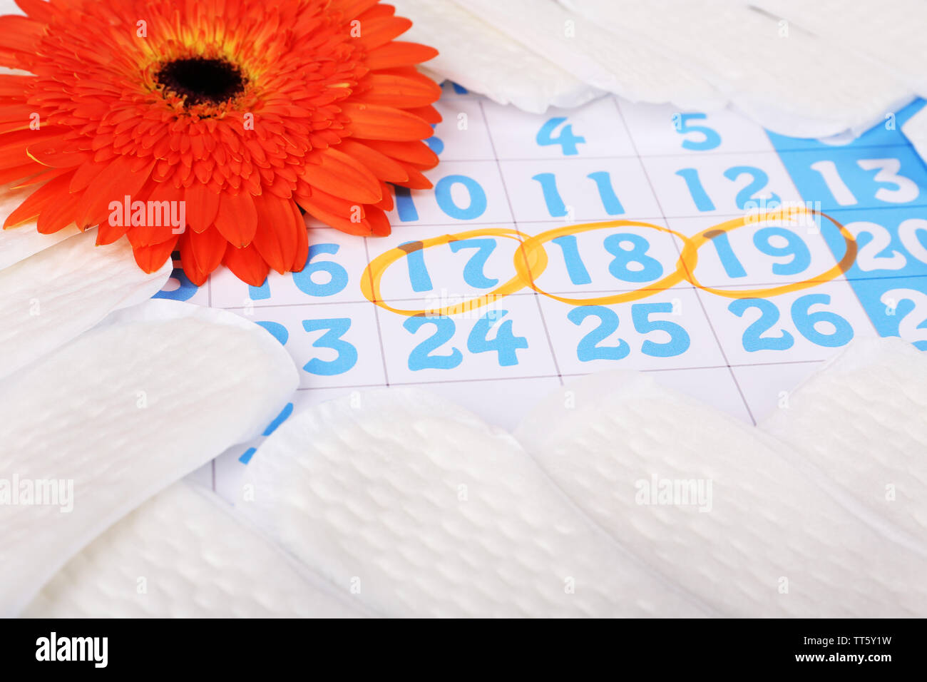 Sanitary pads, orange Gerber on blue calendar background Stock Photo ...