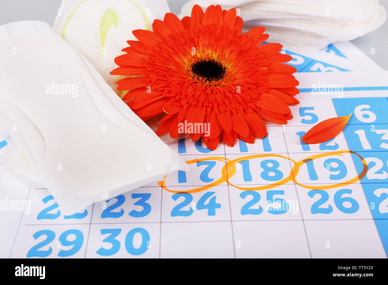 Sanitary pads, orange Gerber on blue calendar background Stock Photo ...