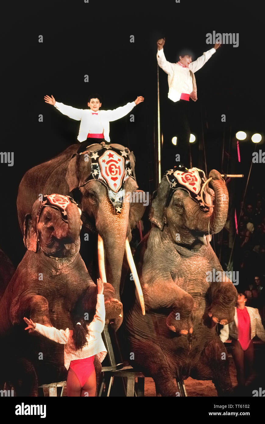 Two young boys from a circus family salute the audience from the tops ...
