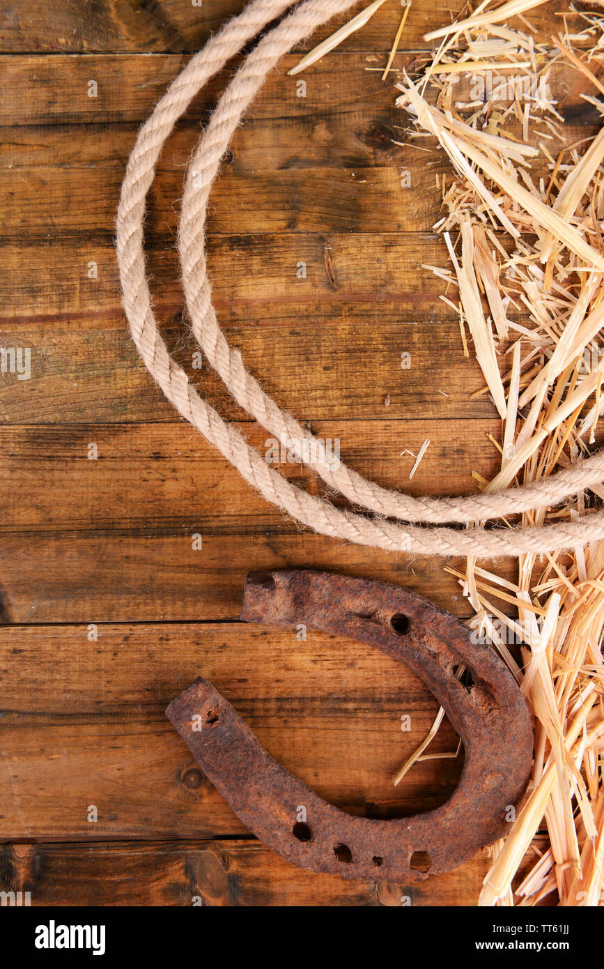 American West still life with old horseshoe and cowboy lasso Stock ...