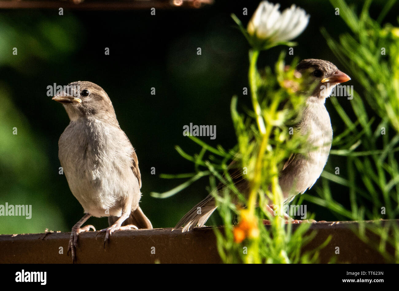 Left and right Stock Photo - Alamy