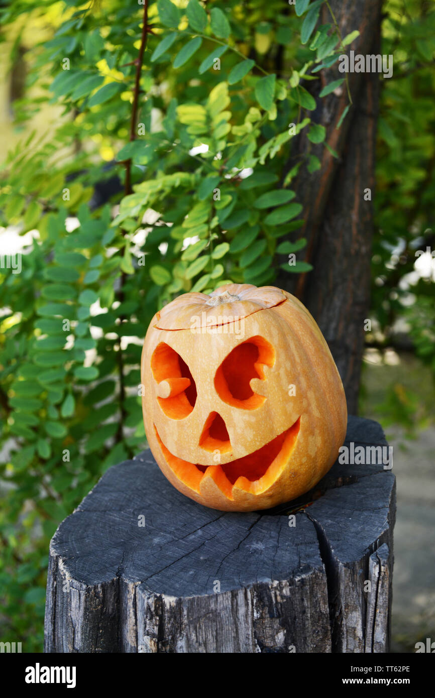 Pumpkin for holiday Halloween on old tree stump Stock Photo - Alamy