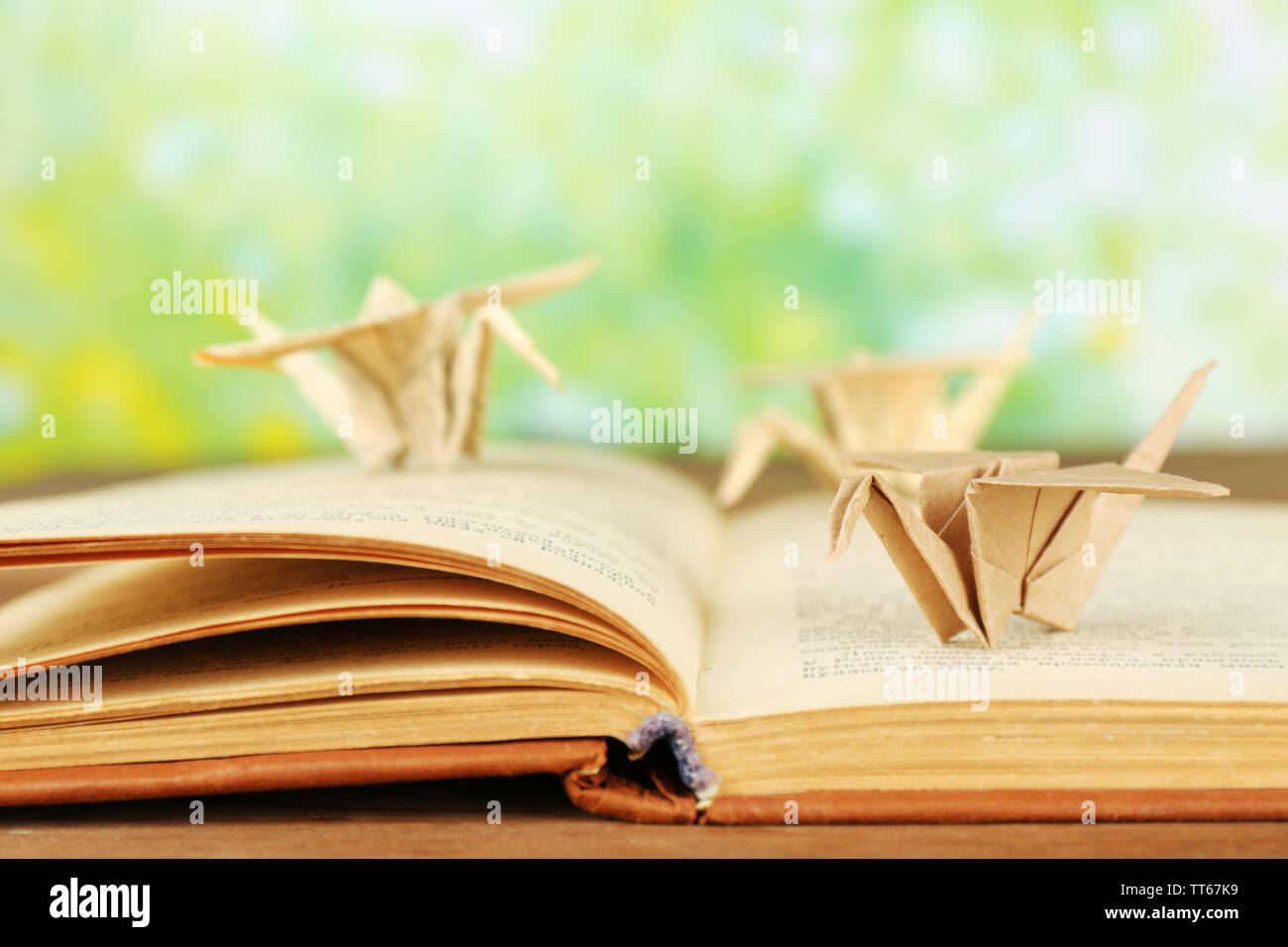 Origami crane book hi-res stock photography and images - Alamy