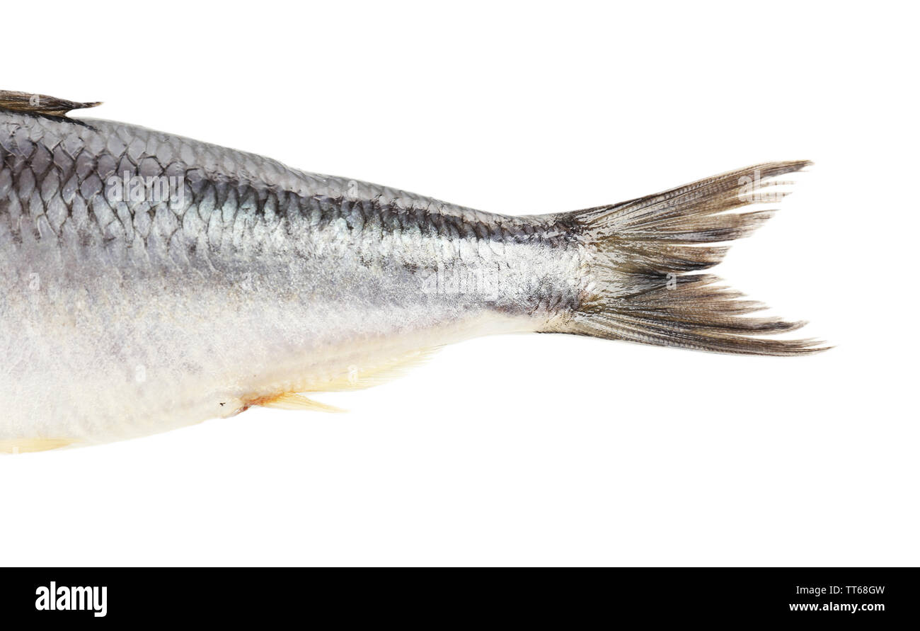 Fresh herring fish isolated on white Stock Photo - Alamy