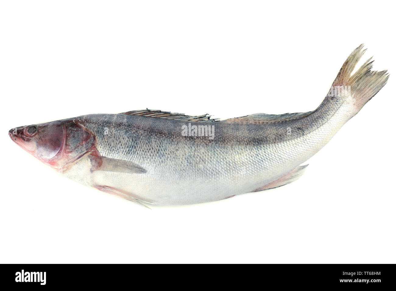 Fresh fish isolated on white Stock Photo - Alamy