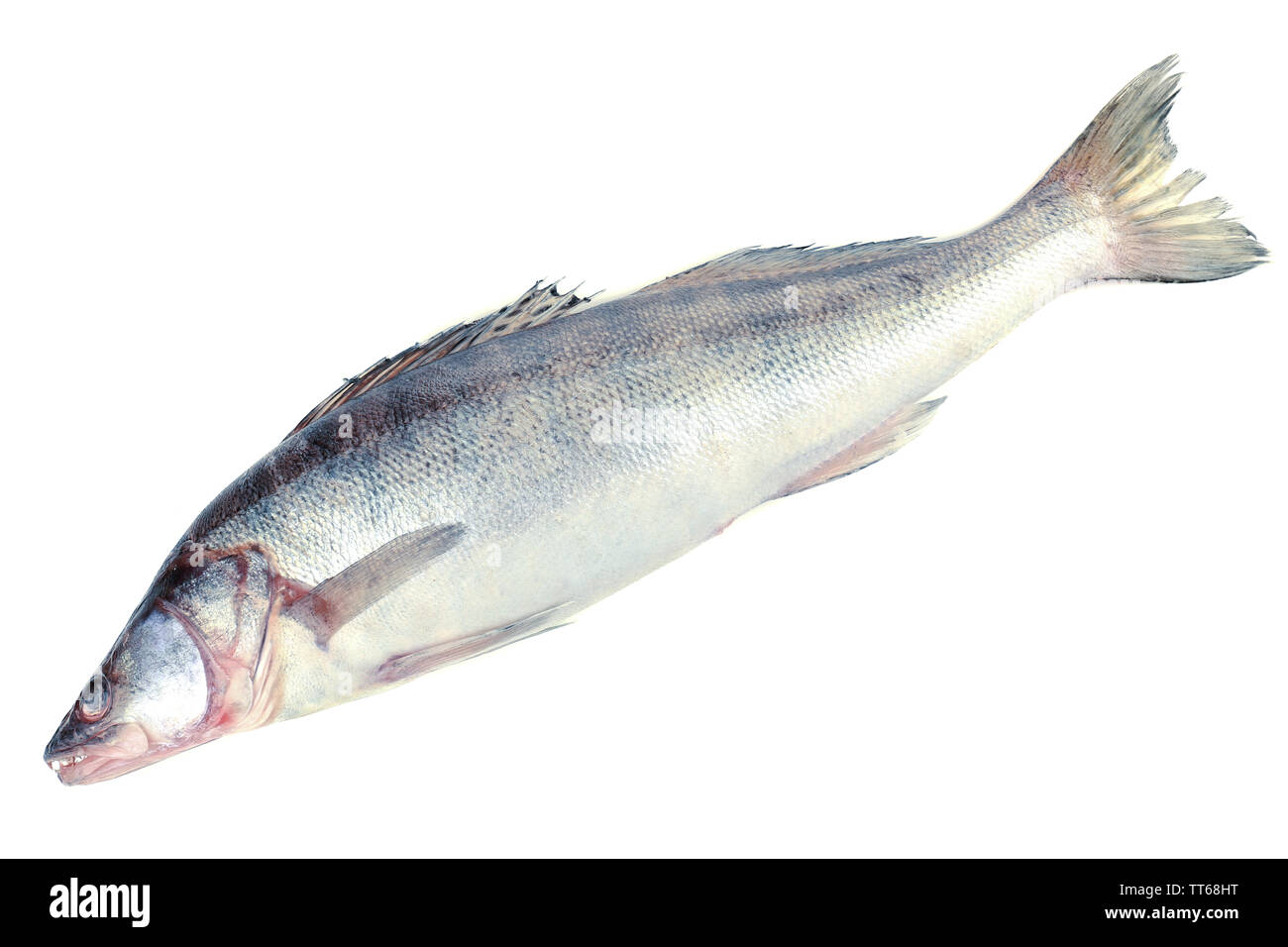Fresh fish isolated on white Stock Photo - Alamy