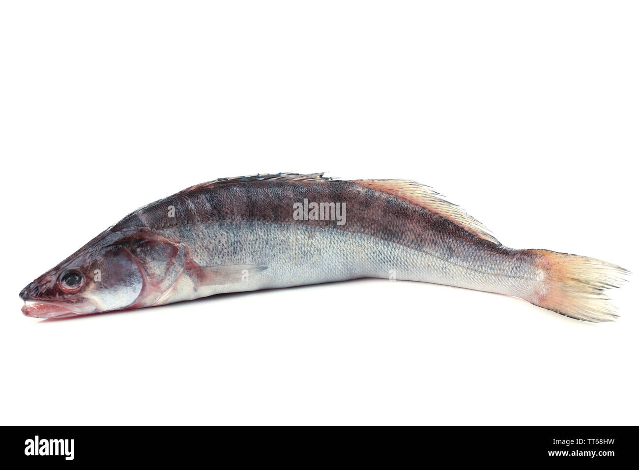 Fresh fish isolated on white Stock Photo - Alamy