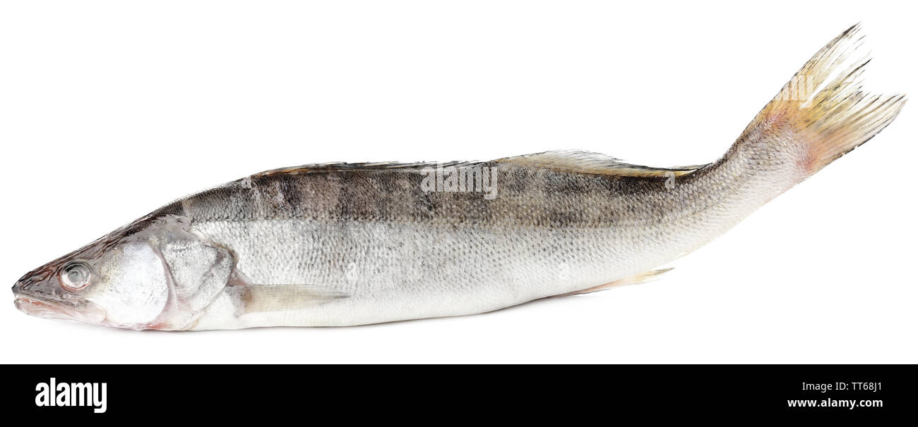 Fresh fish isolated on white Stock Photo - Alamy