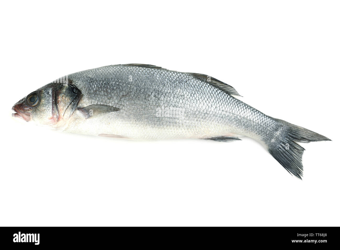 Fresh fish isolated on white Stock Photo - Alamy