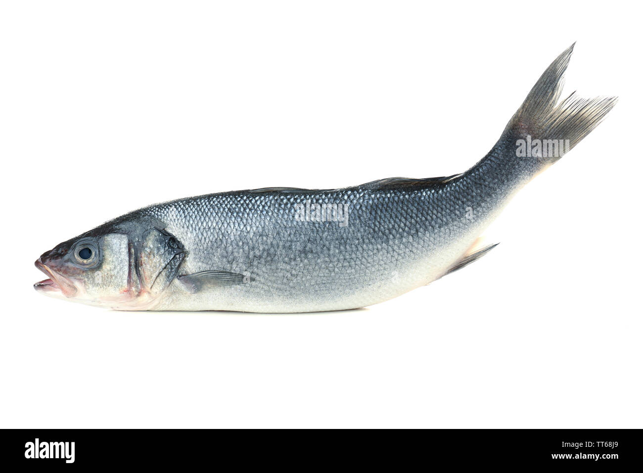 Fresh fish isolated on white Stock Photo - Alamy