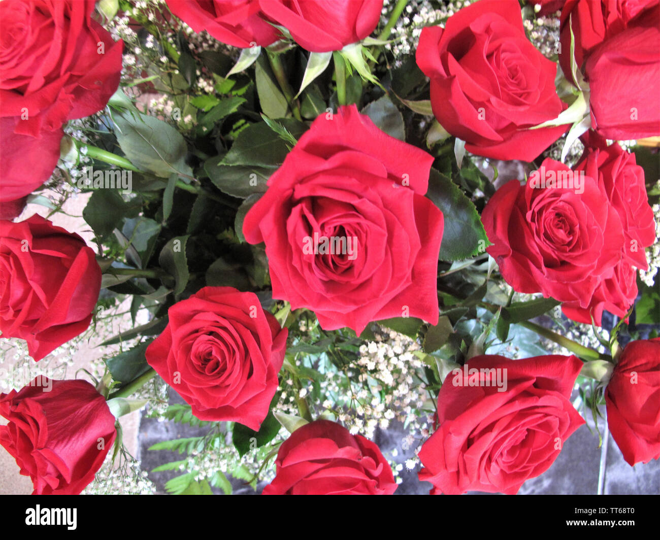 Red rose from above hi-res stock photography and images - Alamy
