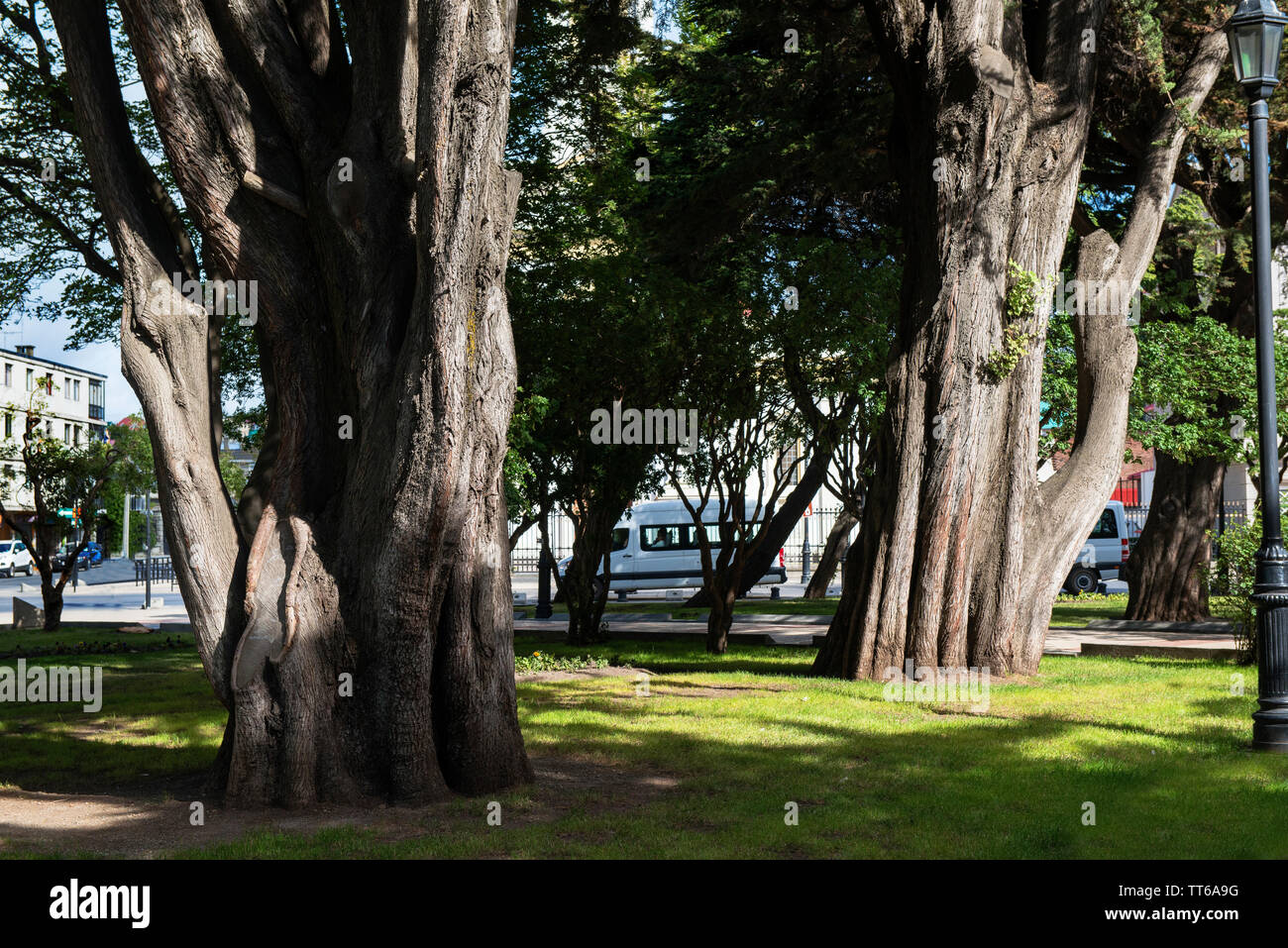 Plaza De Armas Munoz Gamero, Punta Arenas, Magallanes Province ...