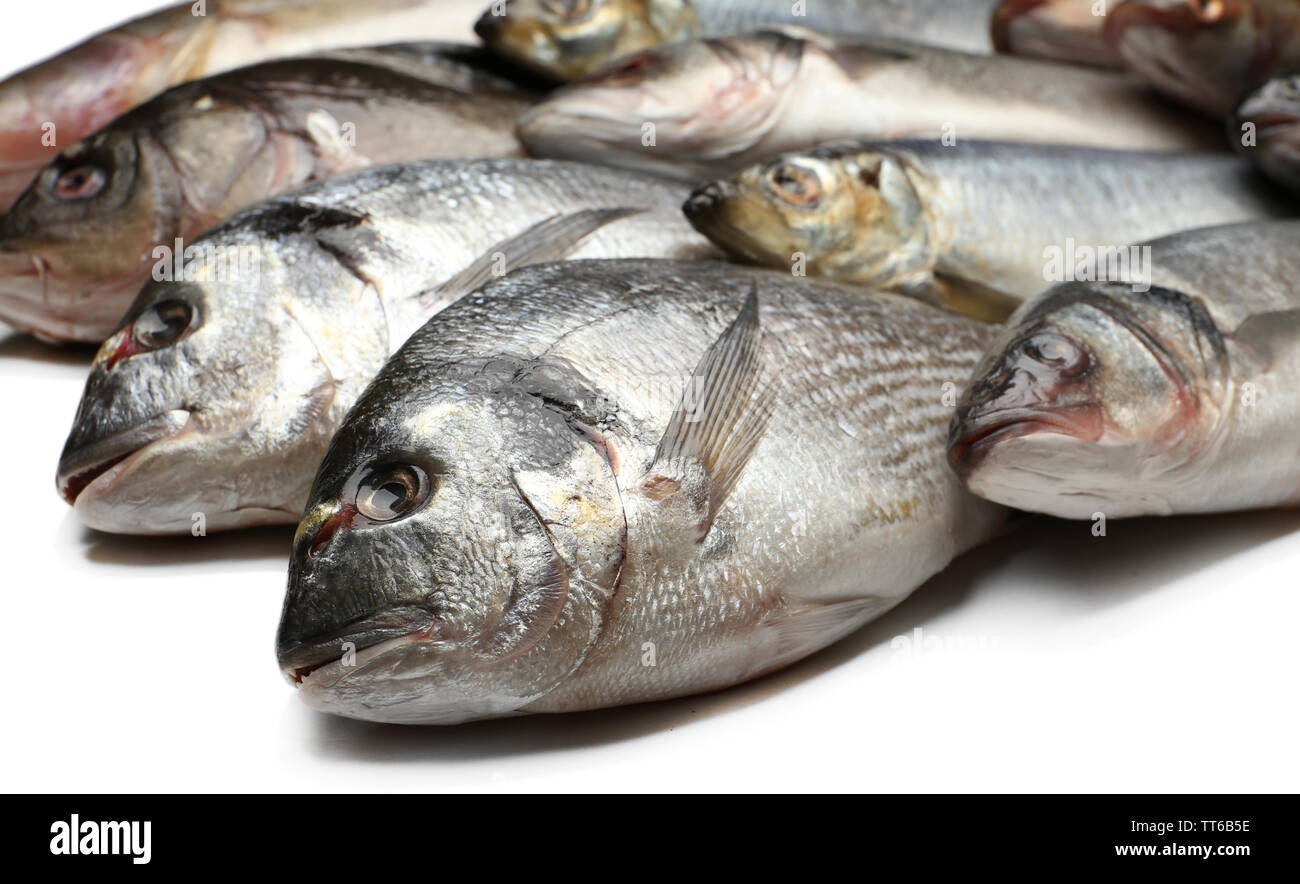 Fresh catch of fish close-up Stock Photo - Alamy