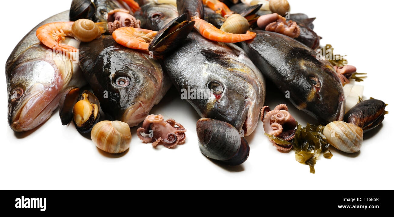 Fresh catch of fish and other seafood isolated on white Stock Photo - Alamy