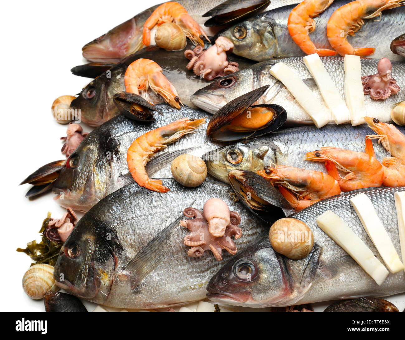 Fresh catch of fish and other seafood close-up Stock Photo - Alamy