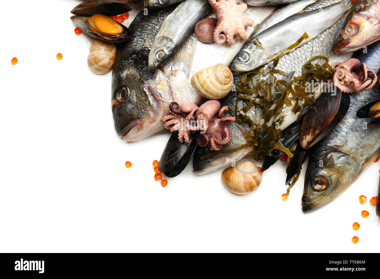 Fresh catch of fish and other seafood isolated on white Stock Photo - Alamy